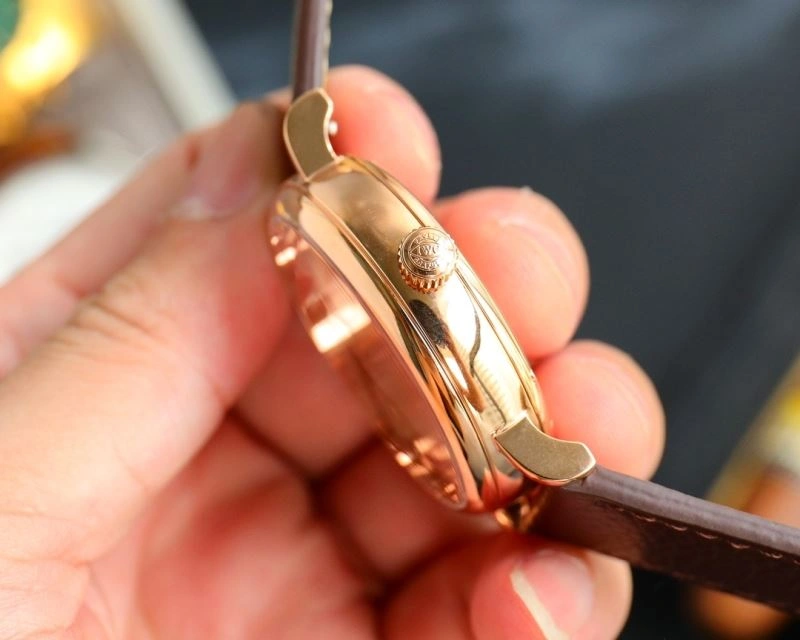 Indistinguishable IWC Watches