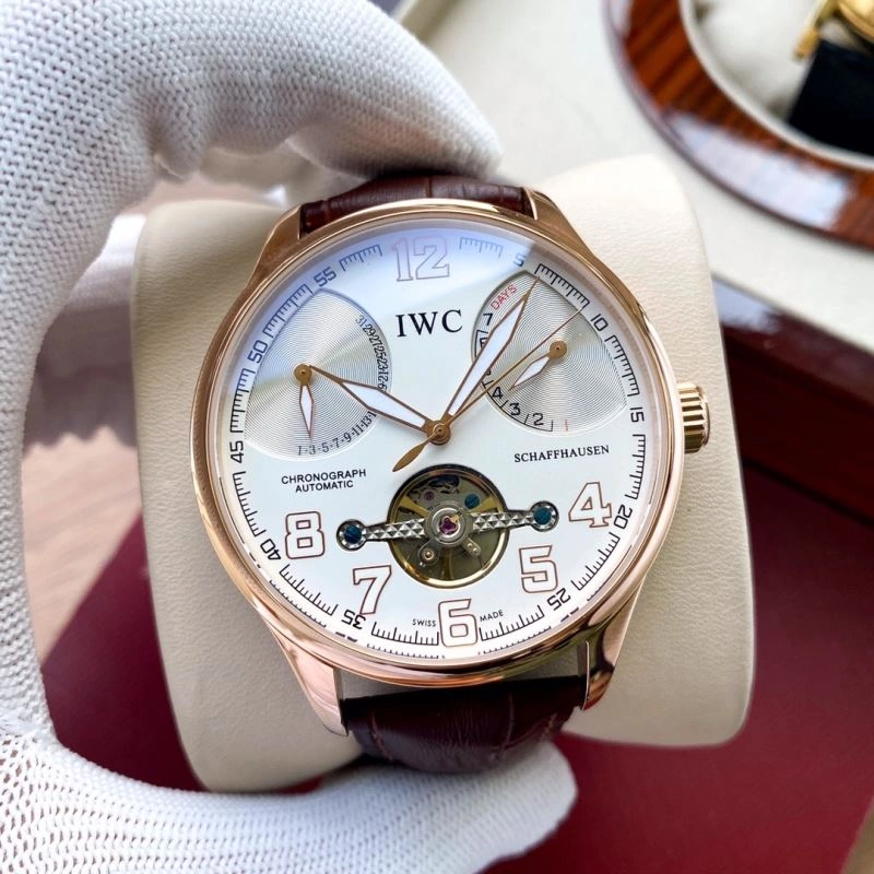 Indistinguishable IWC Watches