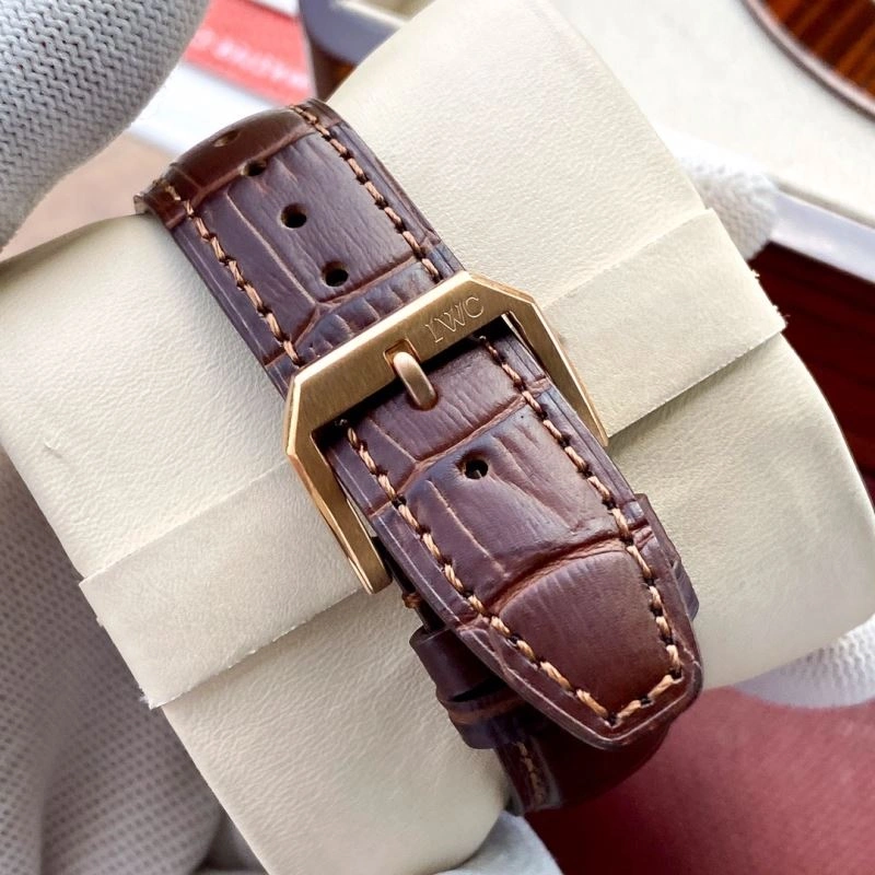 Economical IWC Watches