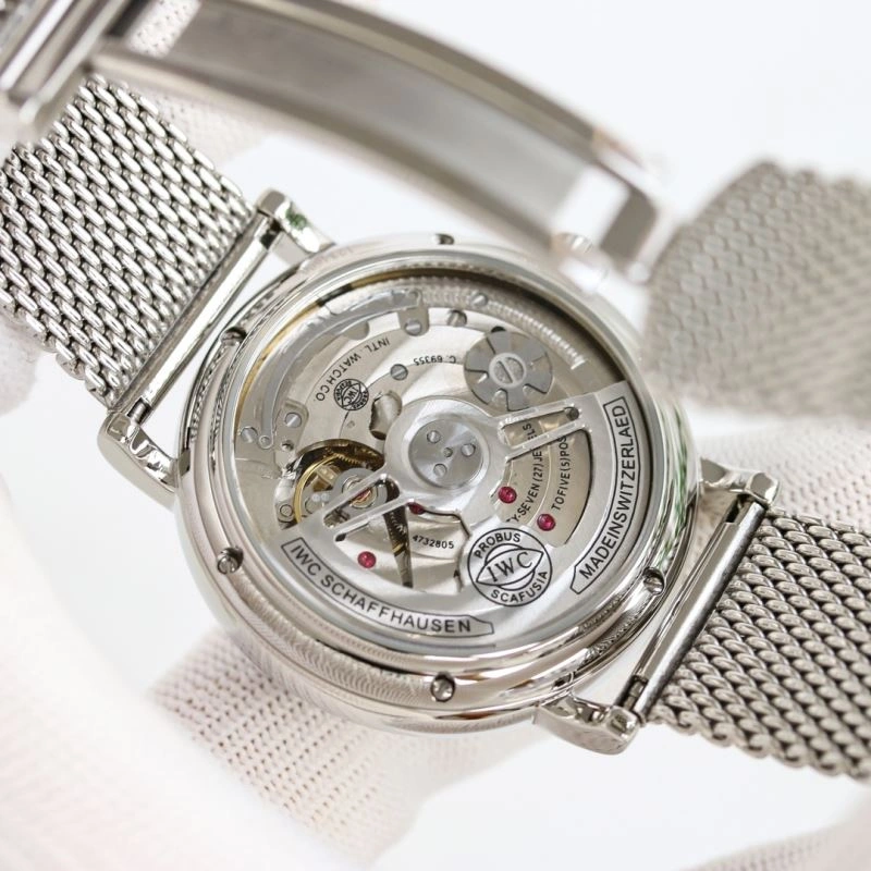 Discounted IWC Watches