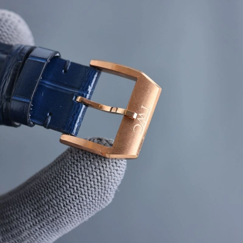 Economical IWC Watches