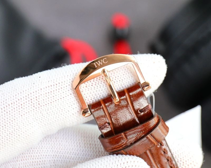 Top mirror IWC Watches