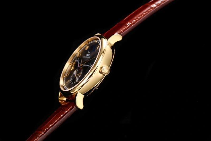 Top match IWC Watches