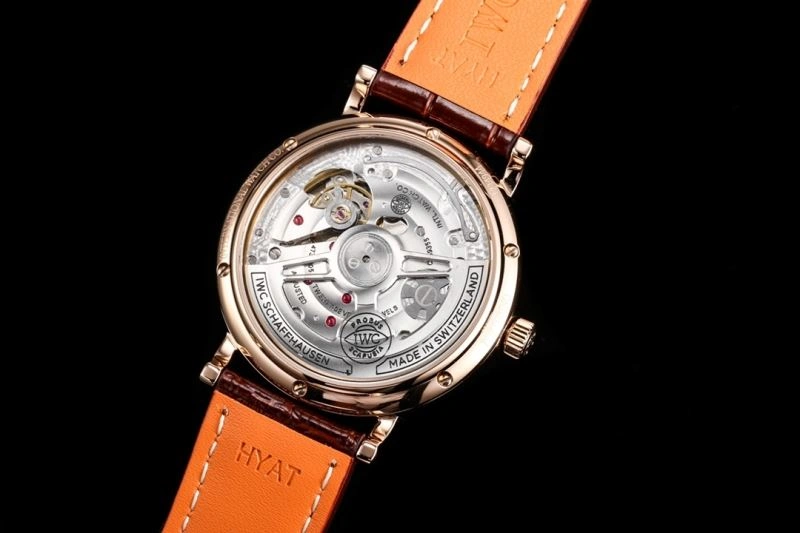 Indistinguishable IWC Watches