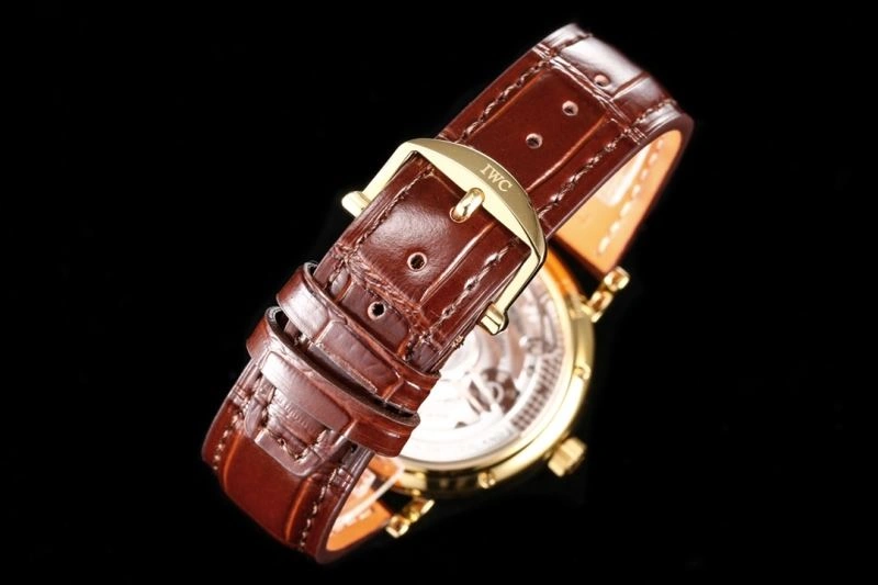 Indistinguishable IWC Watches