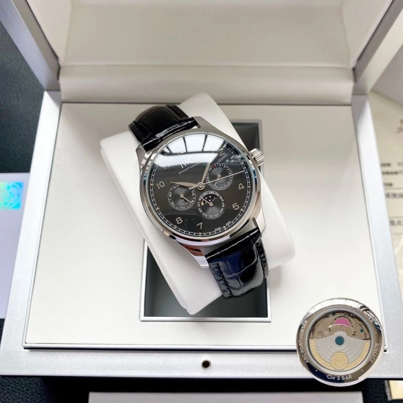 Affordable IWC Watches