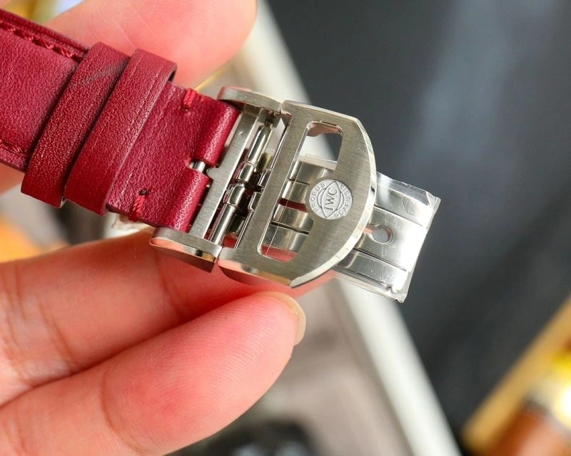 Indistinguishable IWC Watches