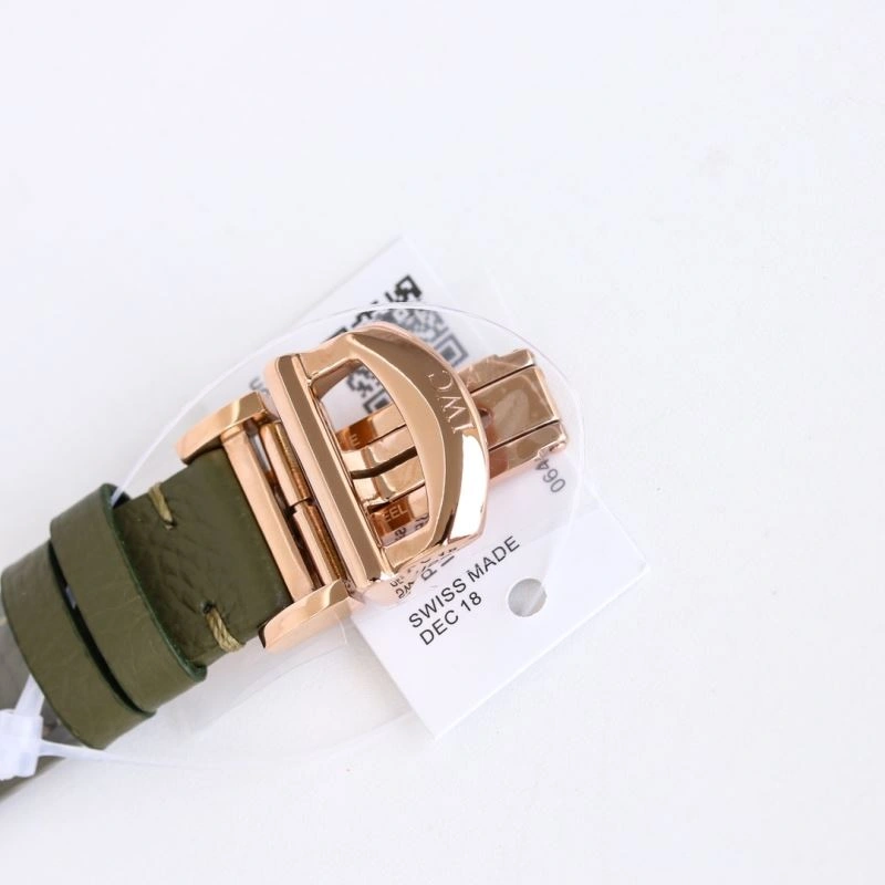 Economical IWC Watches