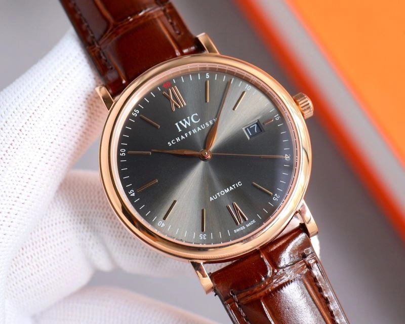 Top match IWC Watches