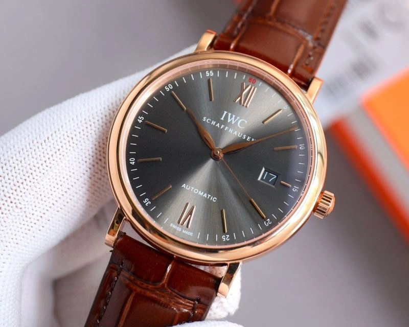 Top match IWC Watches