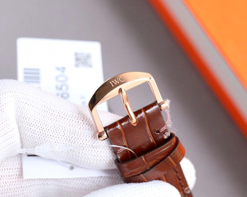 Top match IWC Watches