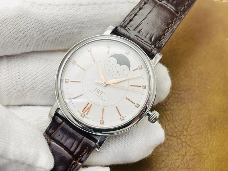 Discounted IWC Watches