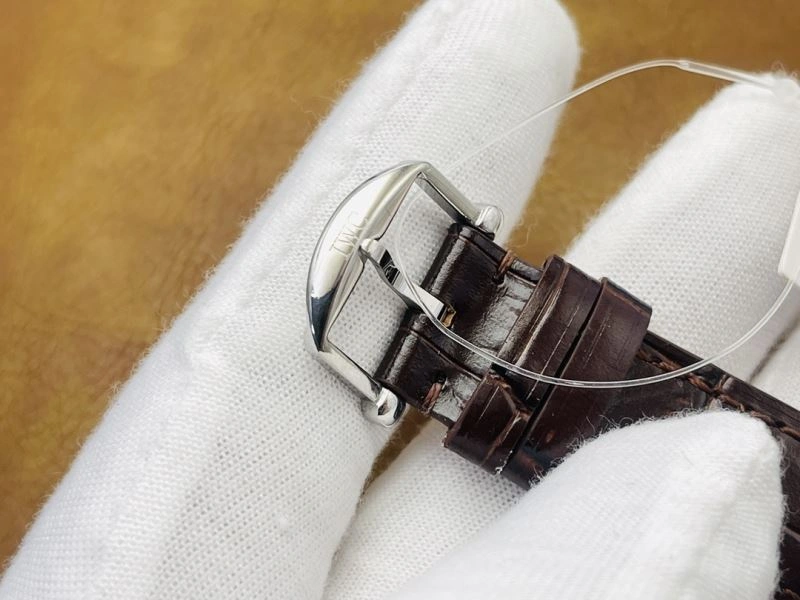 Discounted IWC Watches