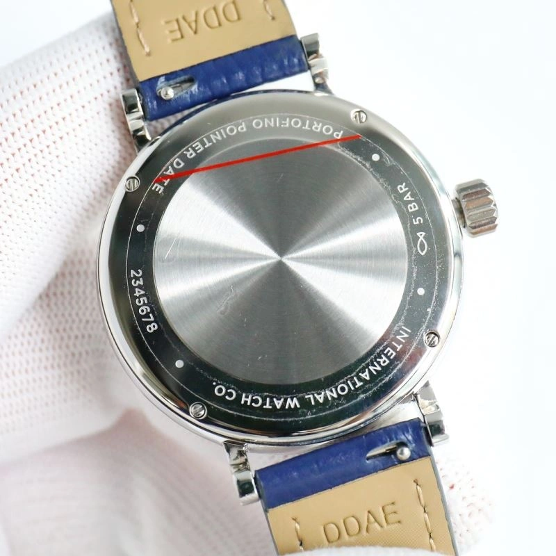 Discounted IWC Watches