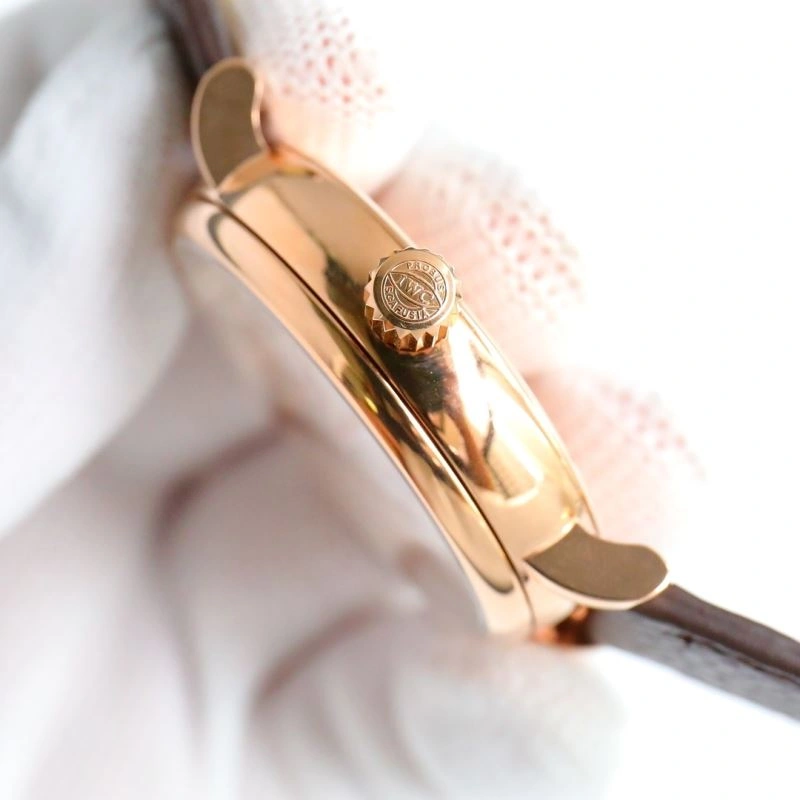 Affordable IWC Watches