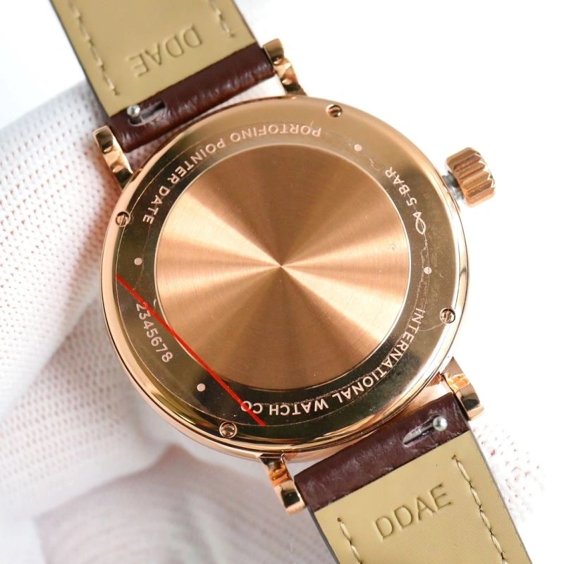 Affordable IWC Watches