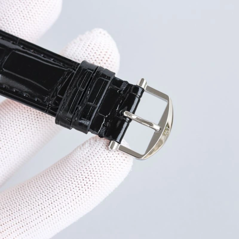 Indistinguishable IWC Watches