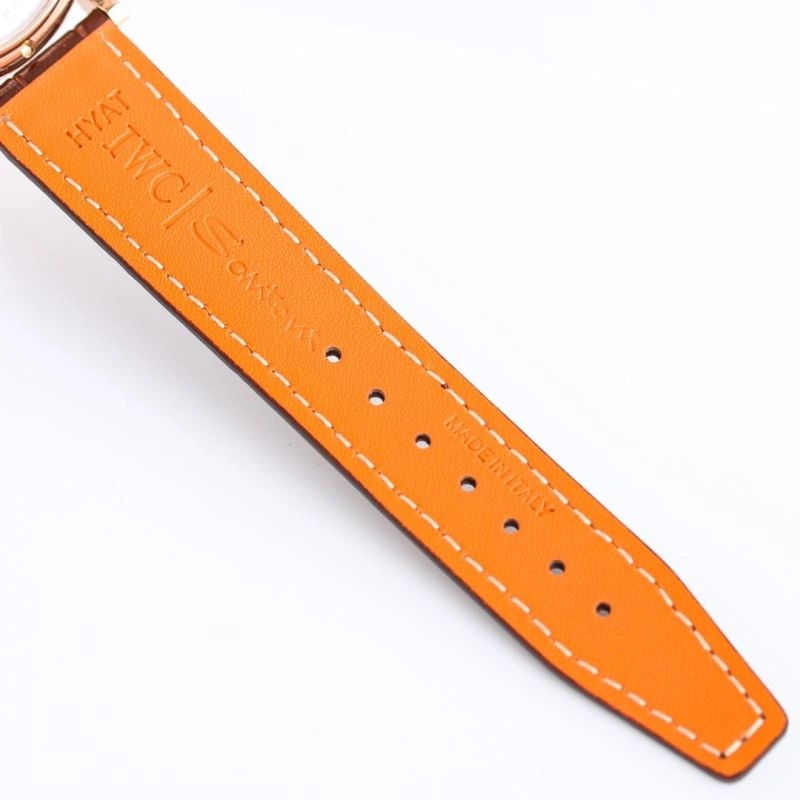 Affordable IWC Watches