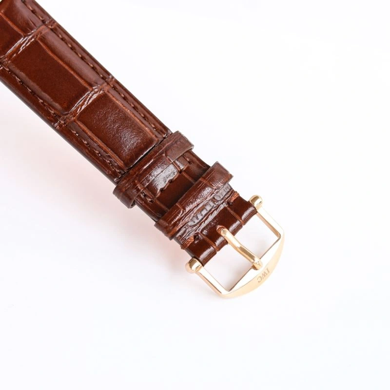 Affordable IWC Watches