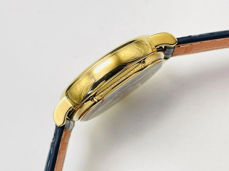 Precise copy IWC Watches