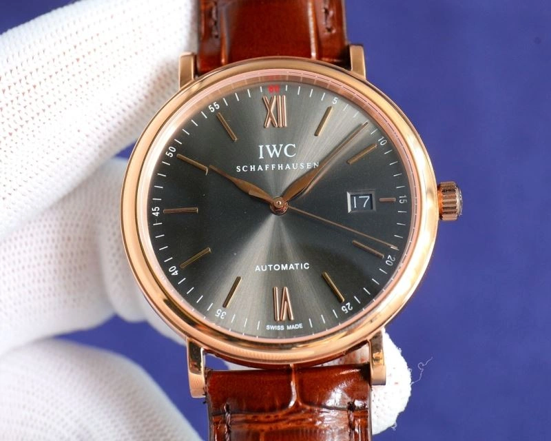 Reasonably priced IWC Watches