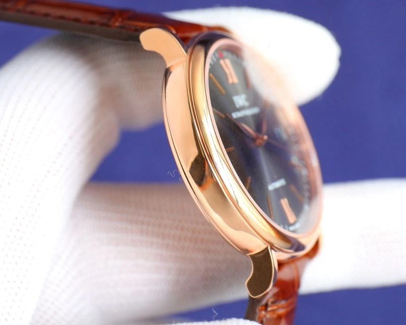 Reasonably priced IWC Watches
