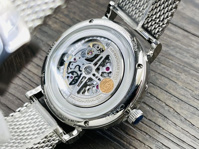 Economical IWC Watches
