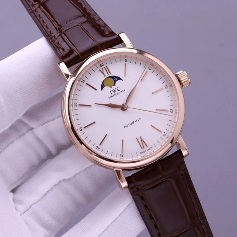 Indistinguishable IWC Watches