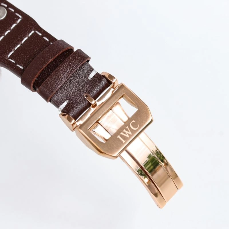 Economical IWC Watches