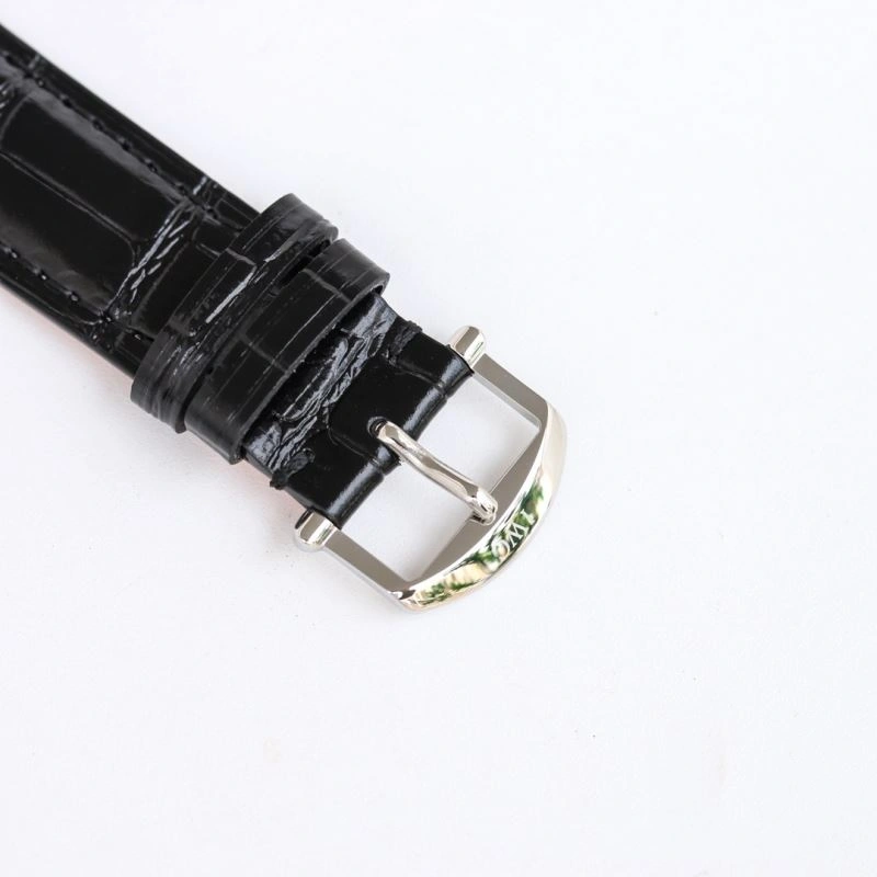 Affordable IWC Watches