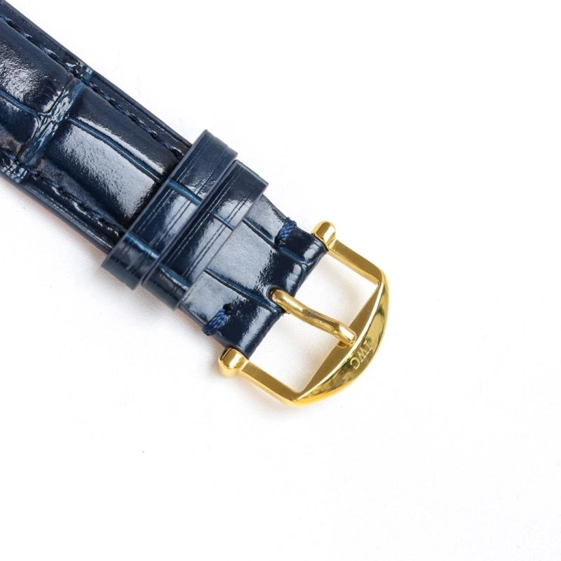 Economical IWC Watches