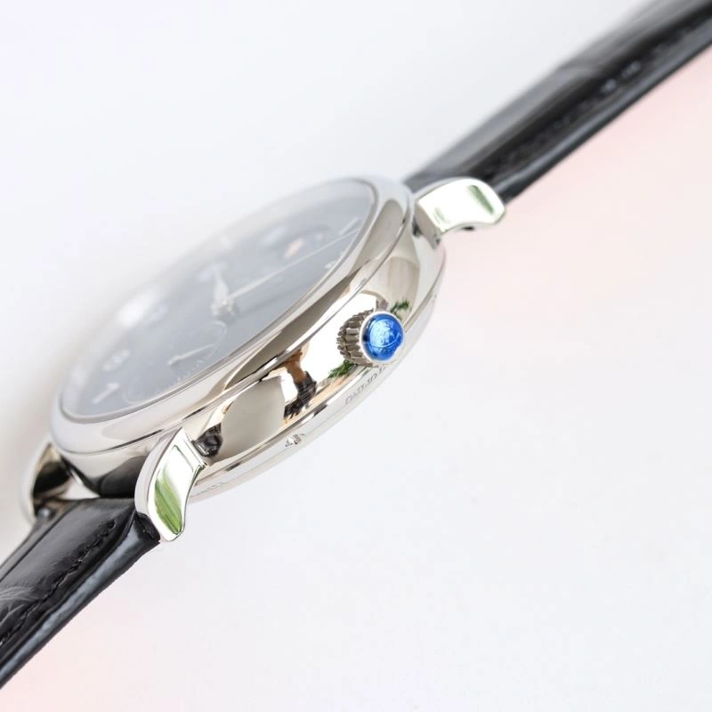 Indistinguishable IWC Watches