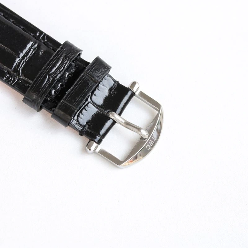 Indistinguishable IWC Watches