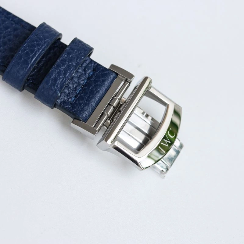 Economical IWC Watches