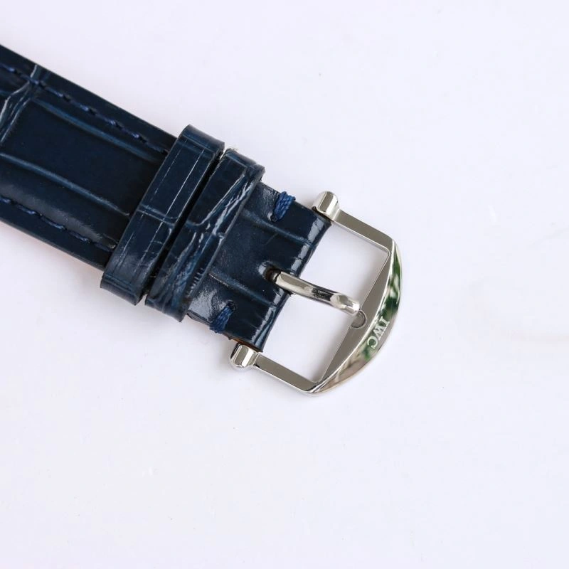 Discounted IWC Watches