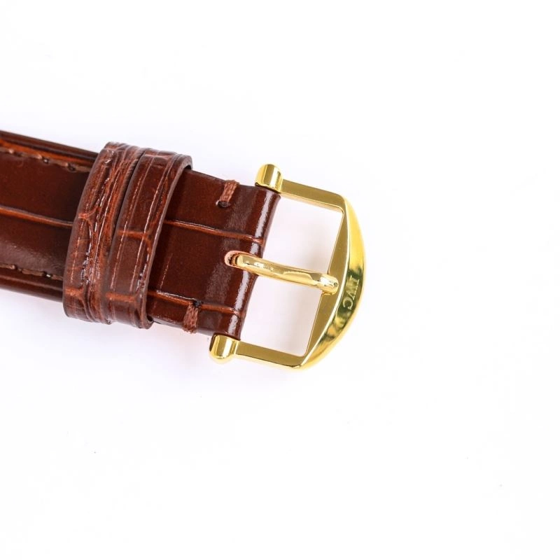 Inexpensive IWC Watches