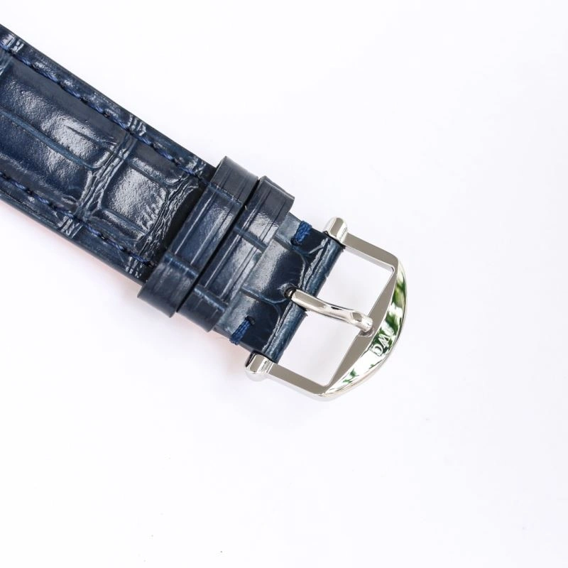 OEM IWC Watches