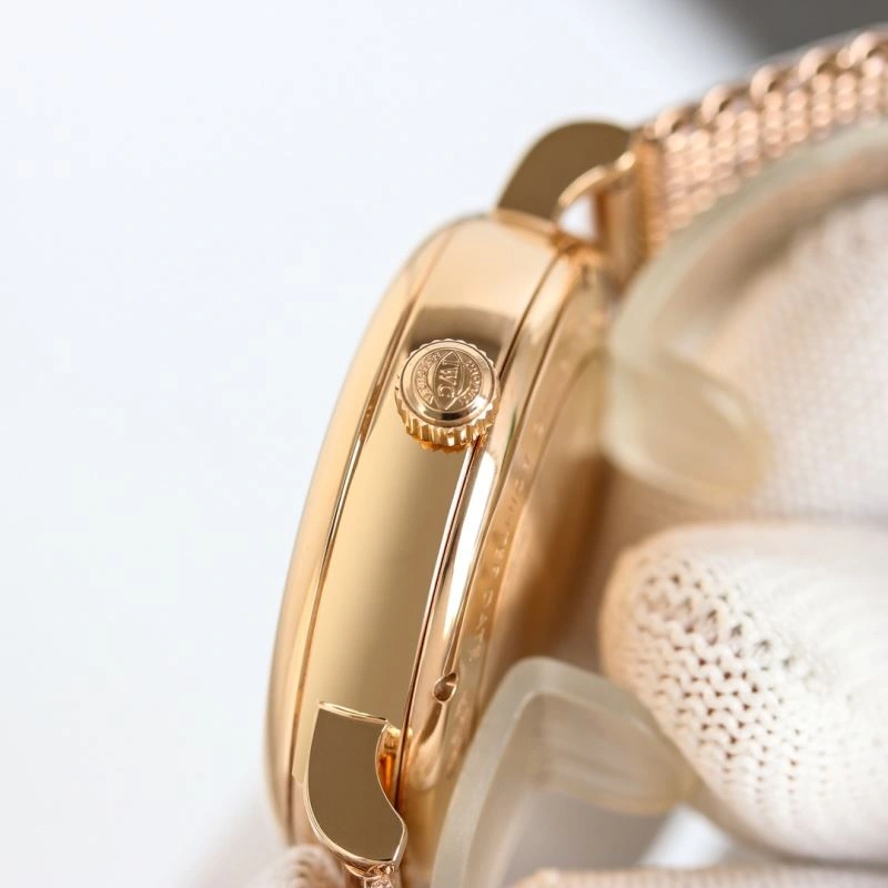 Economical IWC Watches