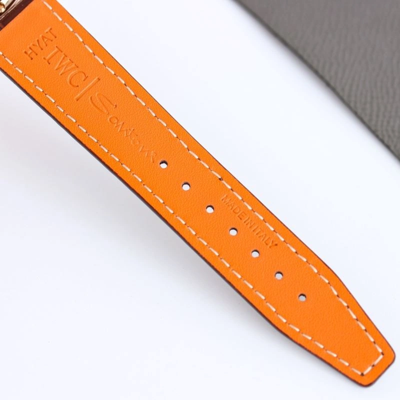 1:1 copy IWC Watches