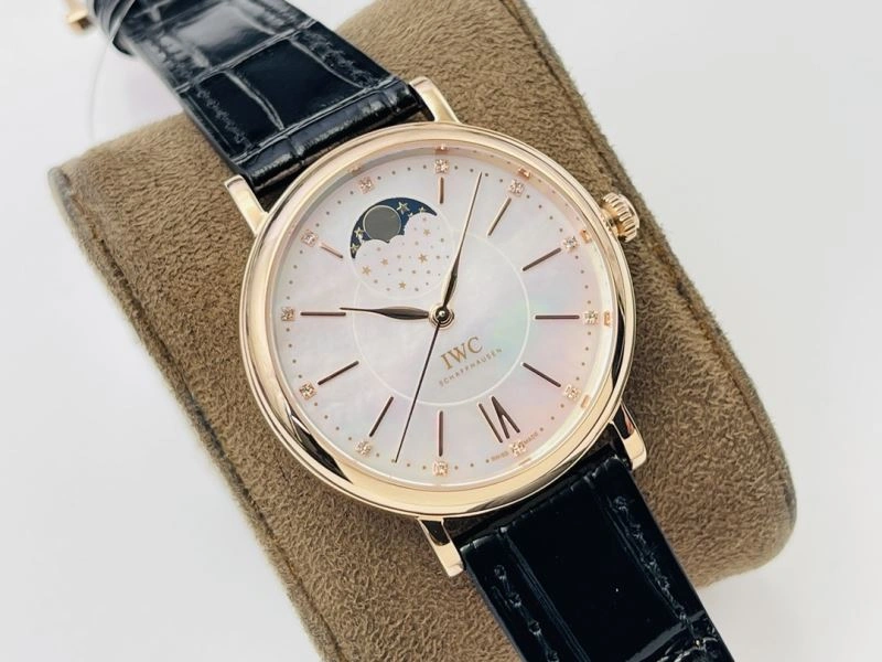 Economical IWC Watches