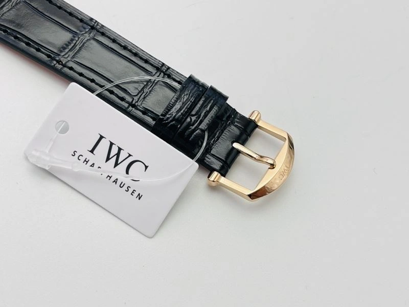 Economical IWC Watches