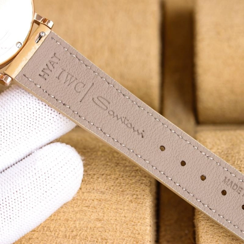 Economical IWC Watches