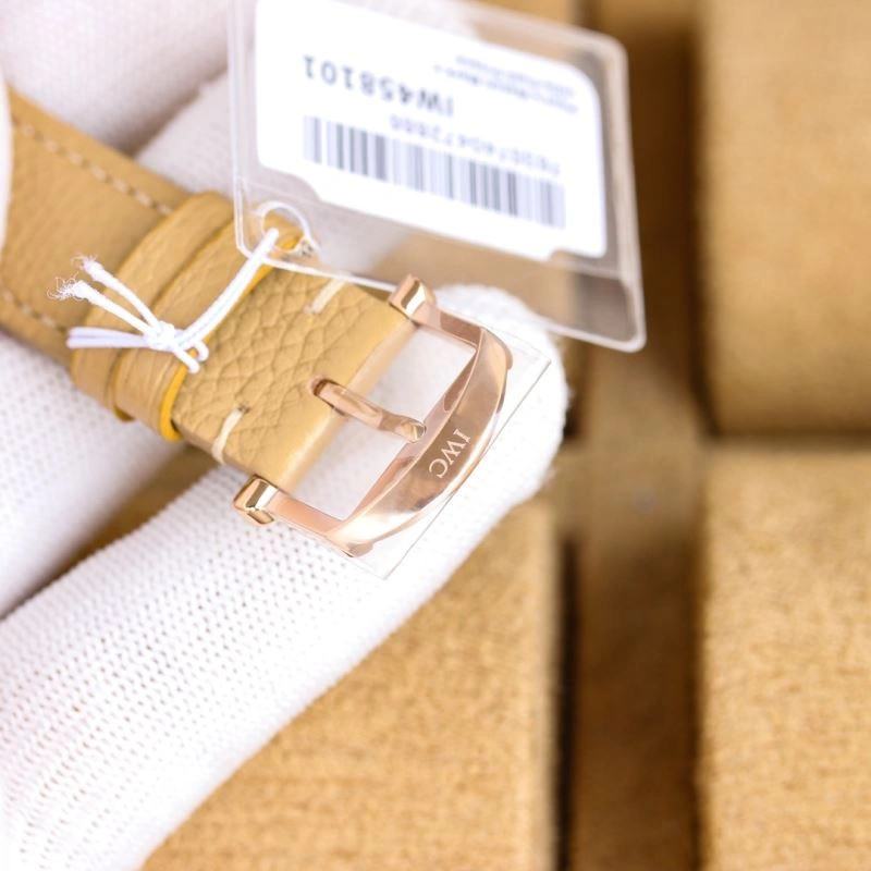 Economical IWC Watches