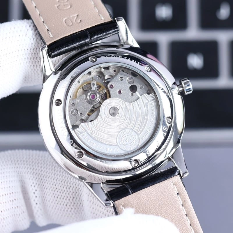 Inexpensive IWC Watches
