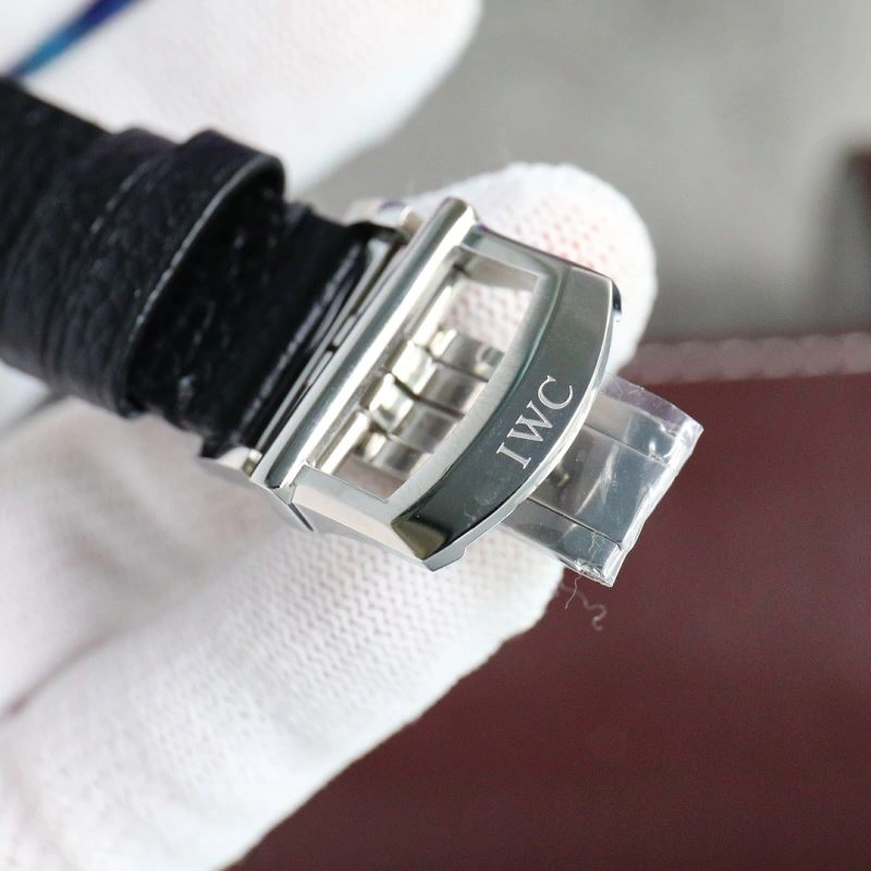 Reasonably priced IWC Watches