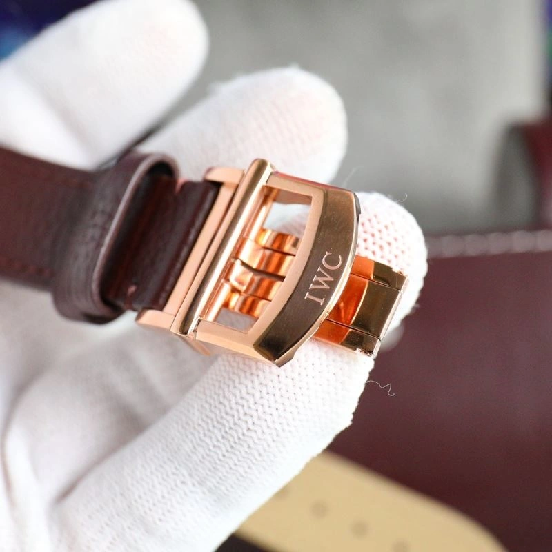 Brand-authenticated IWC Watches