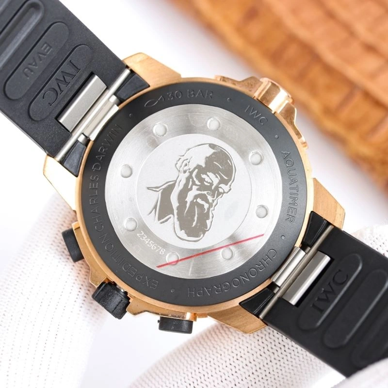 Precise copy IWC Watches