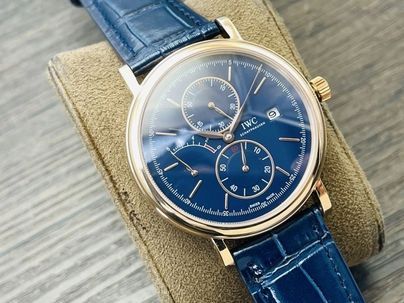 Discounted IWC Watches