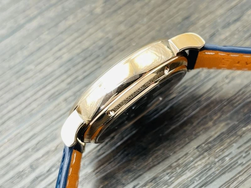 Discounted IWC Watches