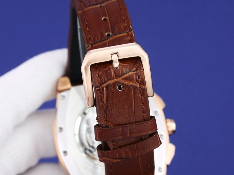 Economical IWC Watches